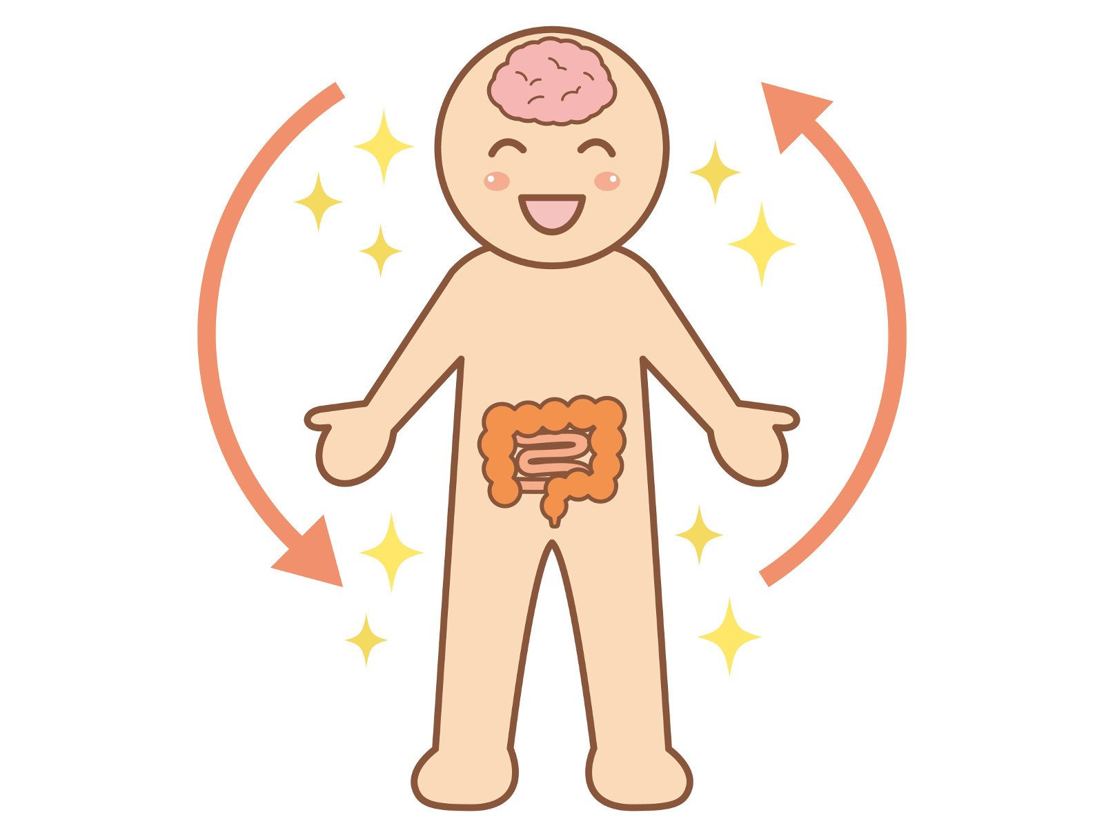 自律神経と発酵の関係 ～腸活と心身の健康を支える発酵飲料の力～ - 株式会社SUNSEDAI